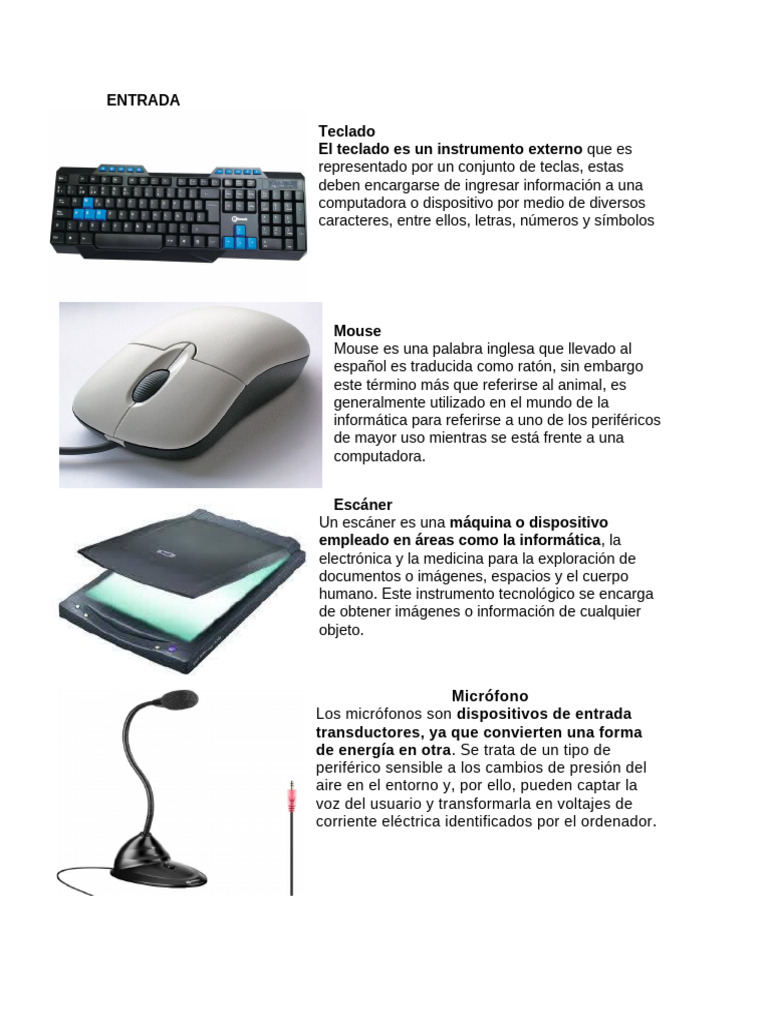 Dispositivos de Entrada y Salida en Informática | PDF | Hardware de la ...