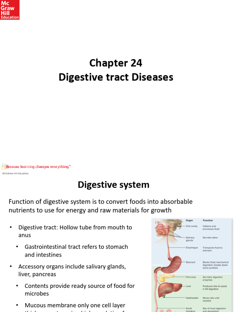 Digestive System Disese - Chapter 24 | PDF | Diarrhea | Salmonella