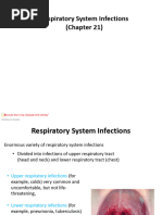 URTI vs LRTI: Key Differences Explained | PDF | Common Cold | Pneumonia
