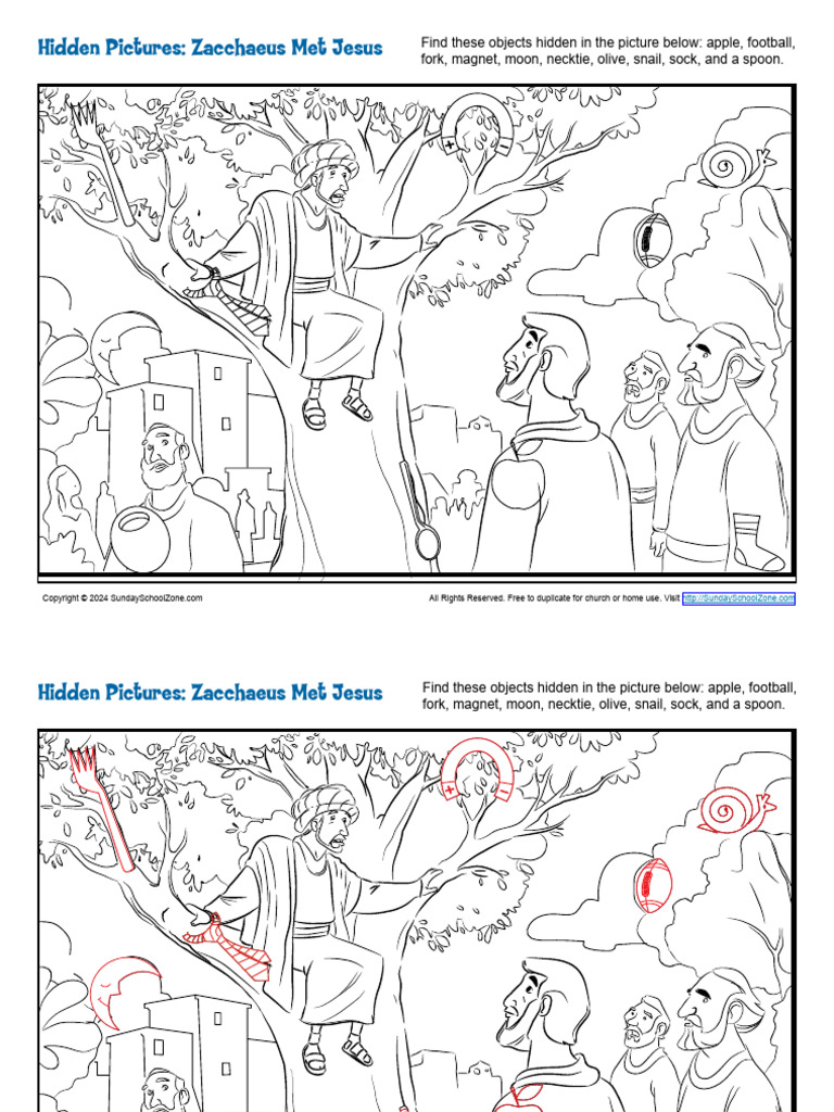 Hidden Pictures Zacchaeus Met Jesus | PDF