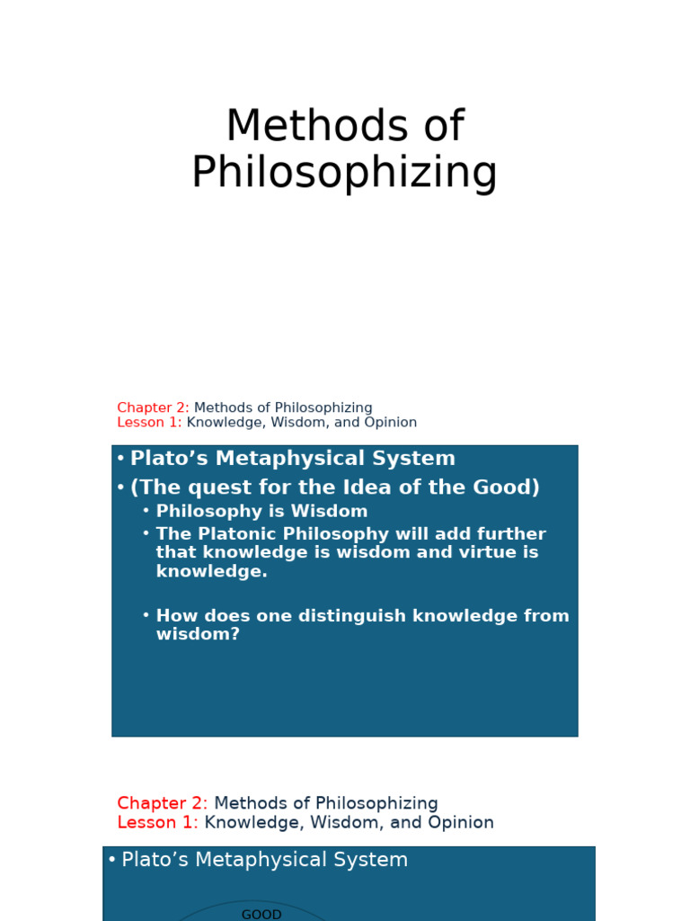 Methods of Philosophizing | PDF | Truth | Knowledge