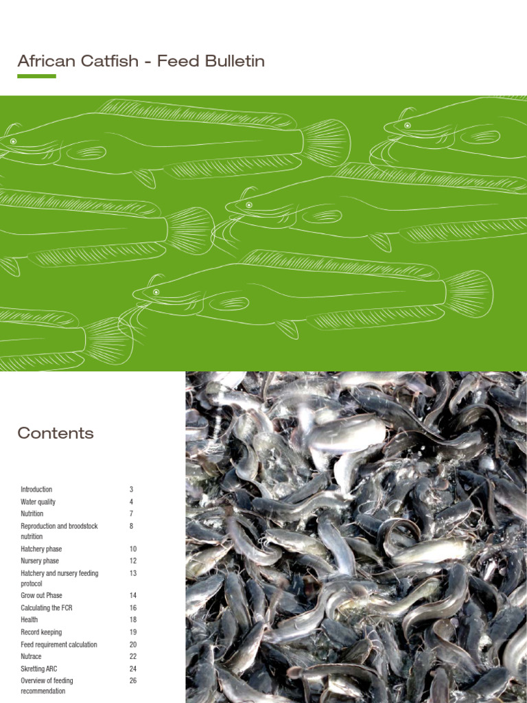 Catfish Feed Bulletin | PDF | Water