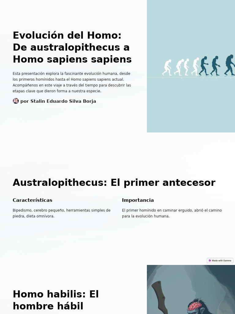 Evolucion Del Homo de Australopithecus A Homo Sapiens Sapiens | PDF ...