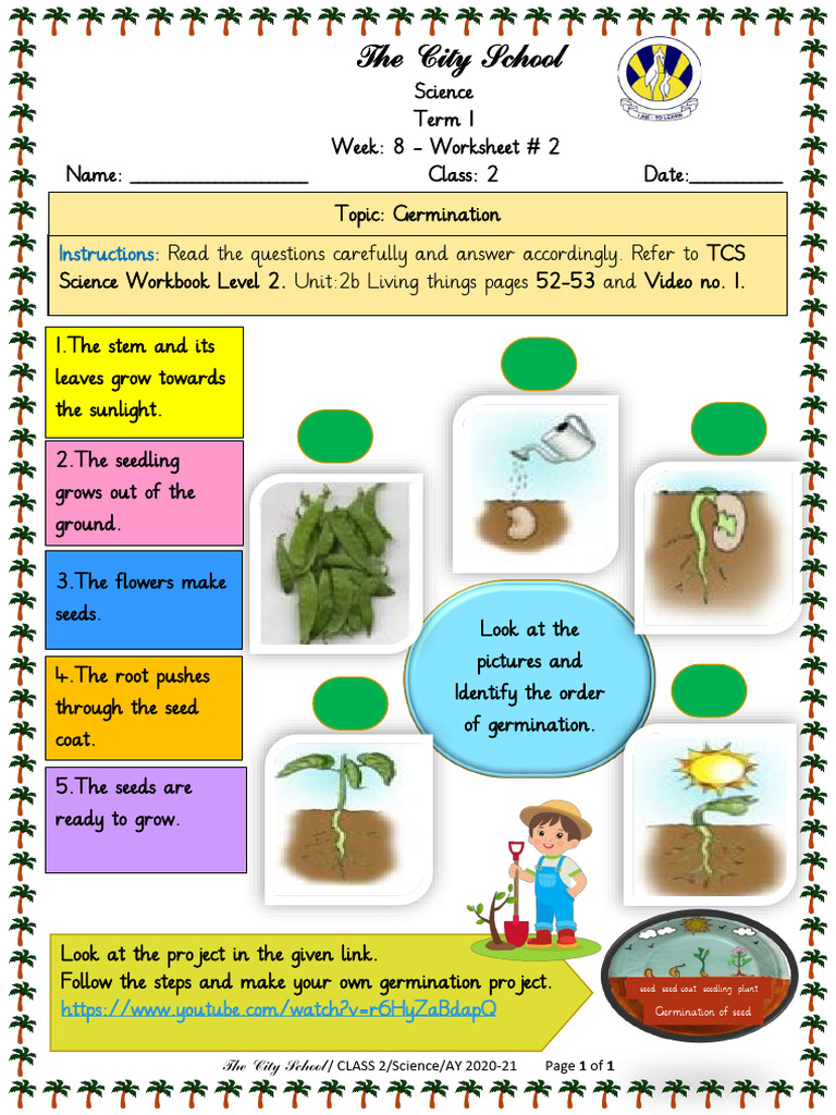 Week 8 Worksheet 2 | PDF