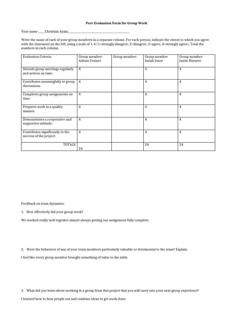 Group Work Peer Evaluation Form | PDF