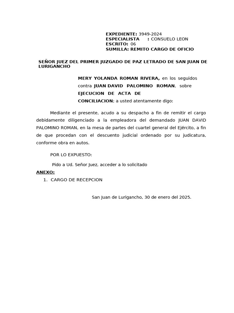 PROCESO UNICO DE EJECUCION | PDF