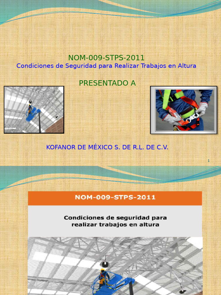 Nom 009 STPS 2011 | PDF | Andamio | Conector eléctrico
