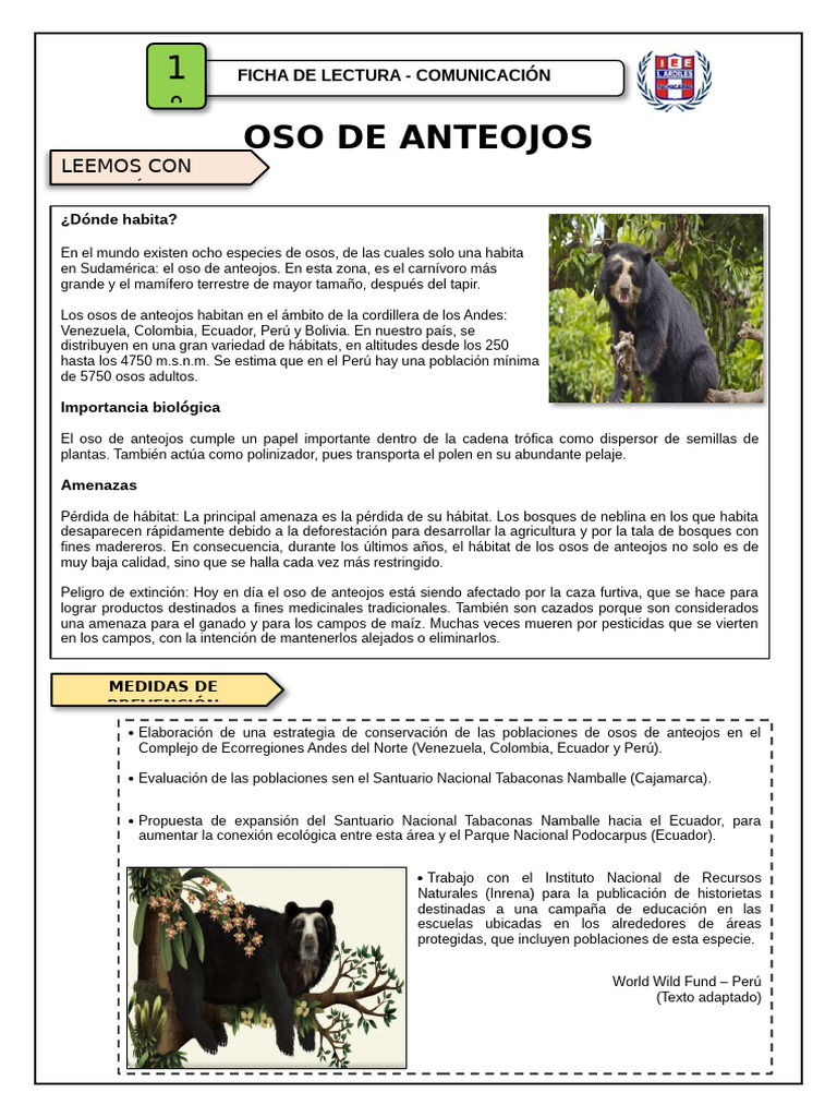 Oso de Anteojos: Hábitat y Amenazas | PDF | Osos | Deforestación