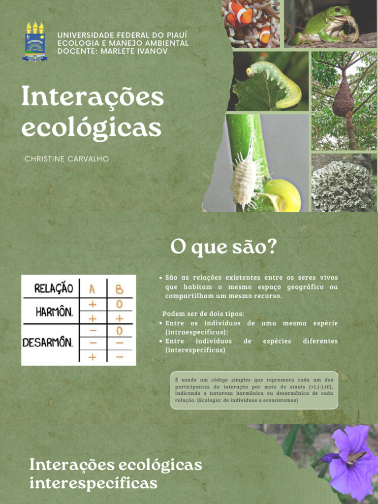 Apresentação Interações Ecológicas Ecologia | PDF | Ecologia | Predação