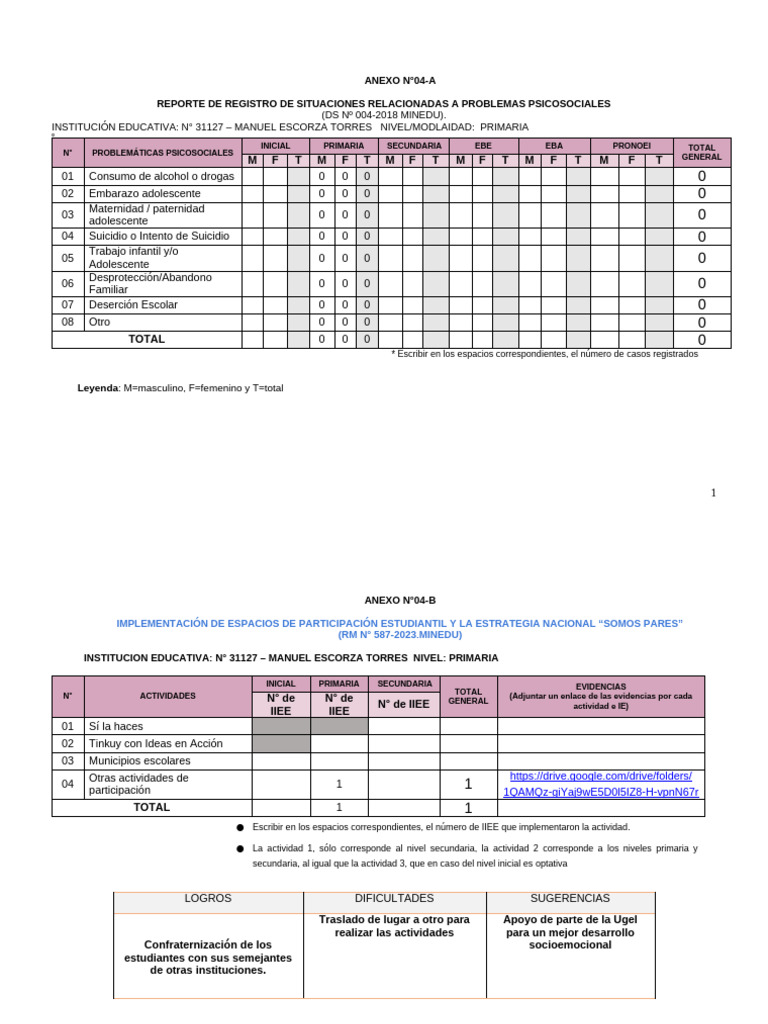 ANEXO N° 04-A y 04-B TOE_EBR_EBE_EBA_CETPRO | PDF | Familia | Juventud