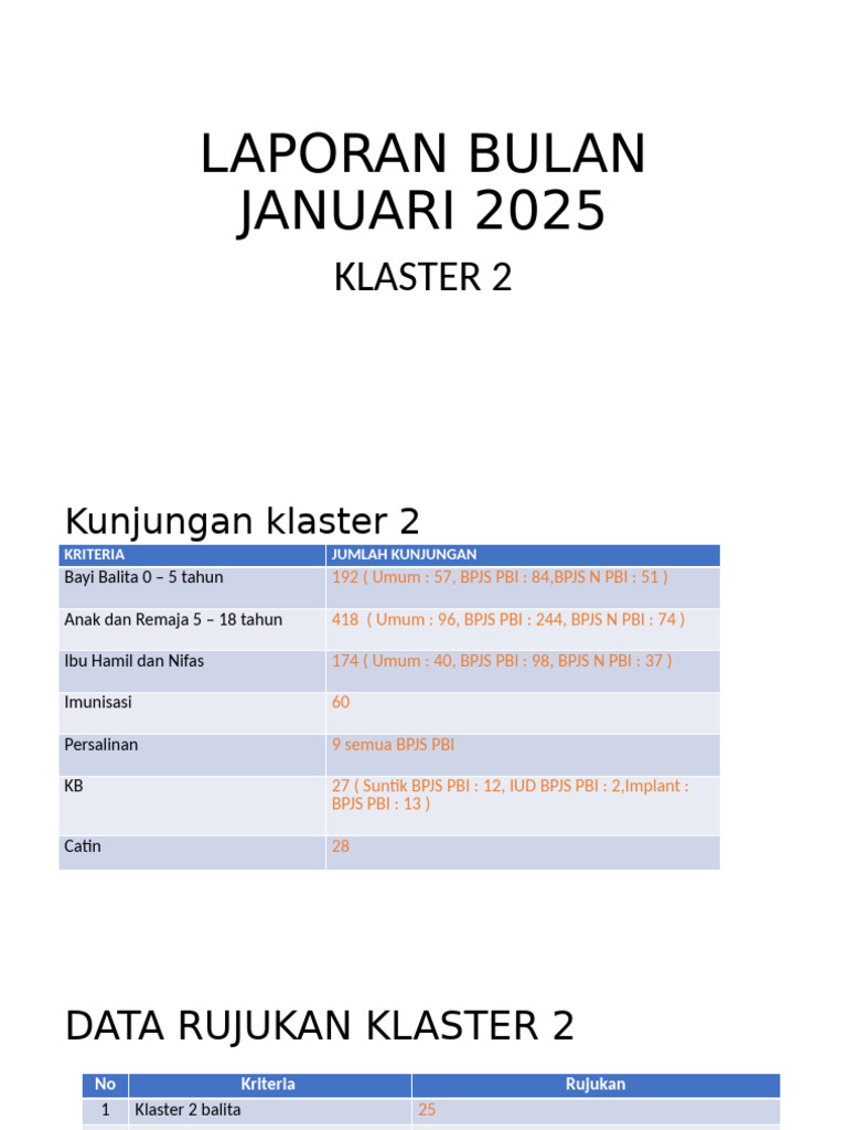 Laporan Klaster 2 Januari 2025 | PDF