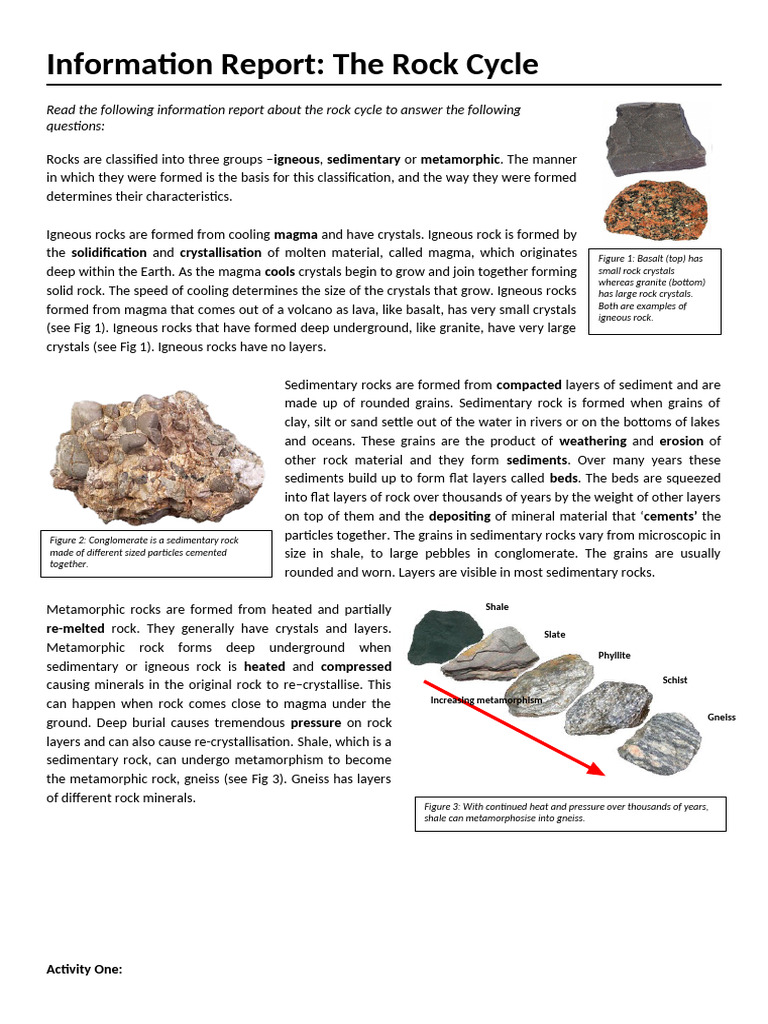 Information Report The Rock Cycle | PDF | Rock (Geology) | Sedimentary Rock