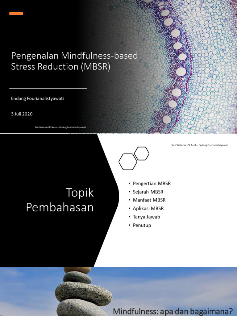 Pengenalan Mindfulness-Based Stress Reduction (MBSR) | PDF