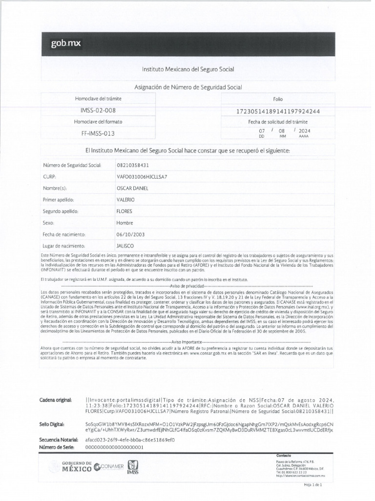 Constancia NSS | PDF