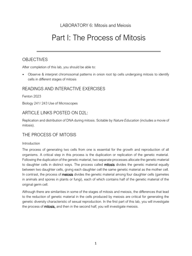 Mitosis and Meiosis Lab Overview | PDF | Meiosis | Mitosis