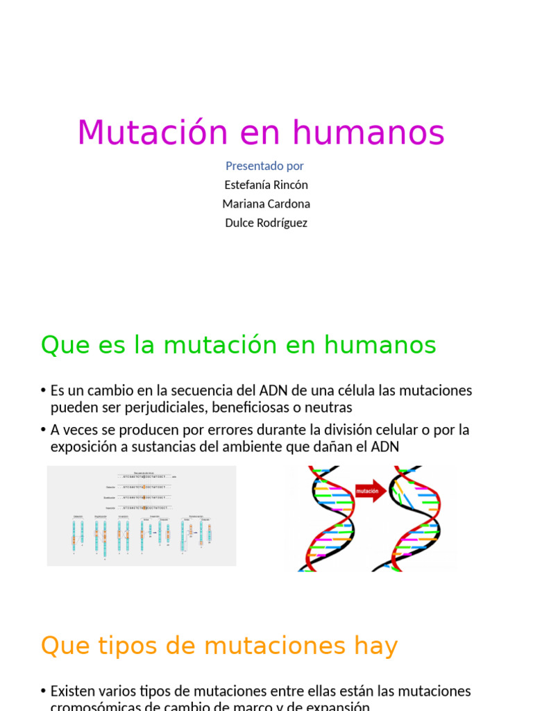 Mutación en Humanos | PDF