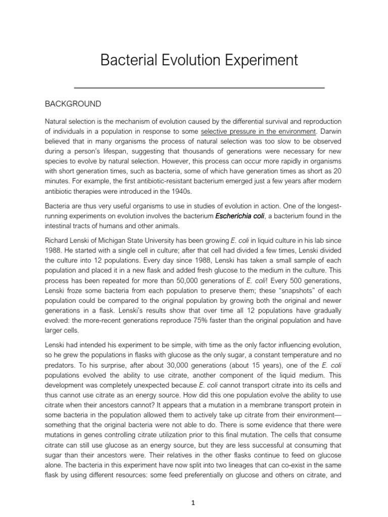 Bacterial Evolution and Salinity Experiment | PDF | Bacteria | Evolution