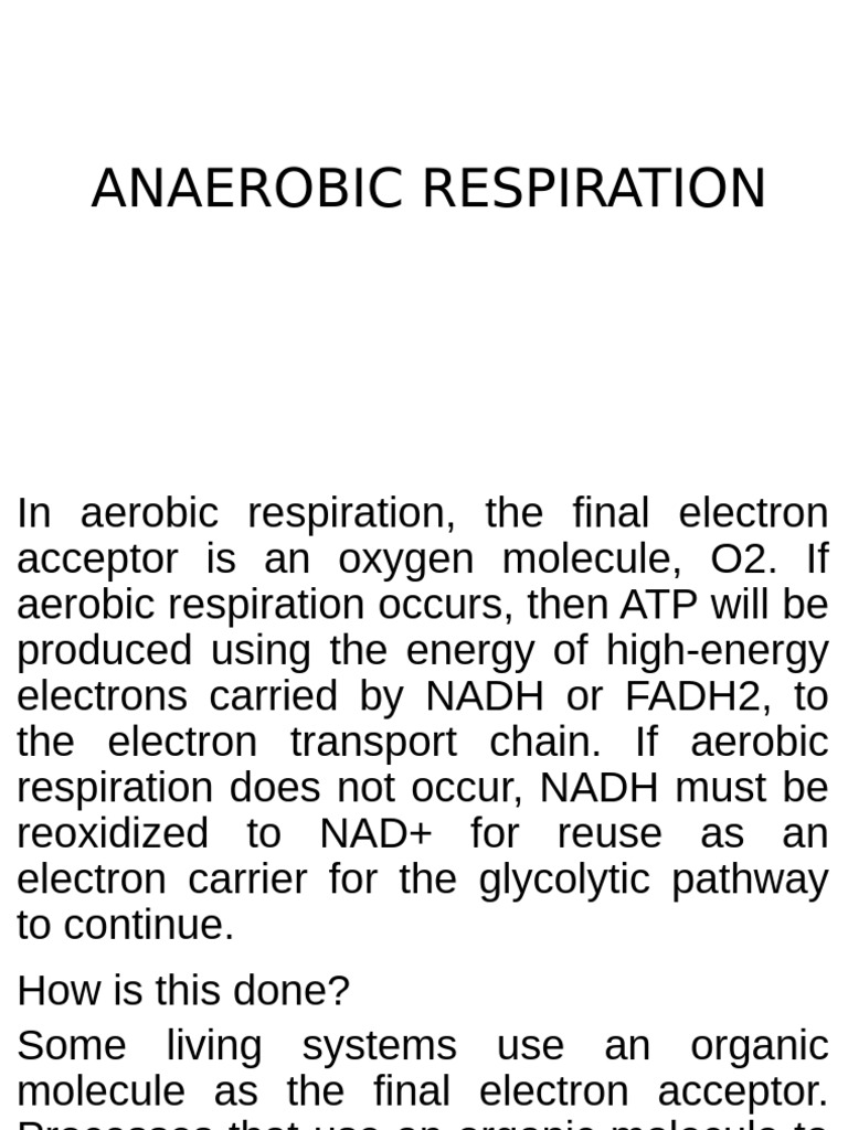 Anaerobic Respiration | PDF | Cellular Respiration | Fermentation
