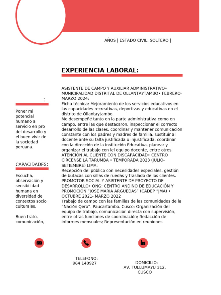 CV 2024 Delgado Meza Arnold | PDF