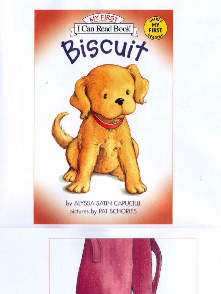 Biscuit Book PDF | PDF