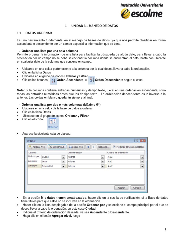 contenido_ORDENAR DATOS | PDF | Bases de datos | Microsoft Excel