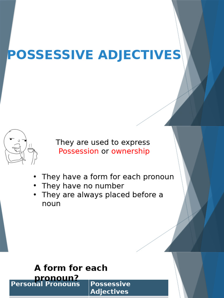 3.3 Possessive Adjectives | PDF