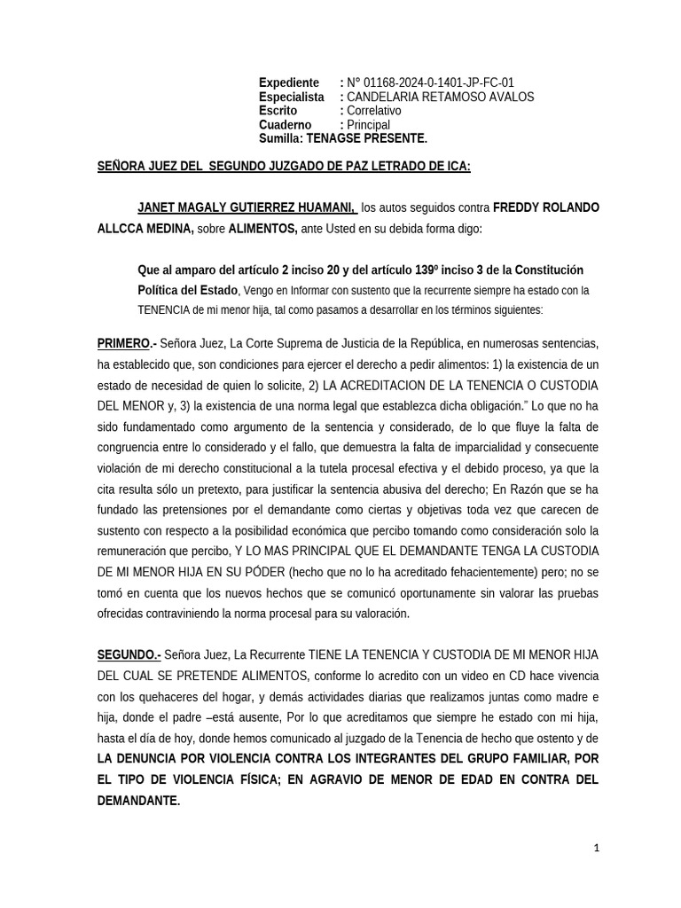 Tenencia y Alimentos: Caso Judicial Ica | PDF | Debido al proceso ...
