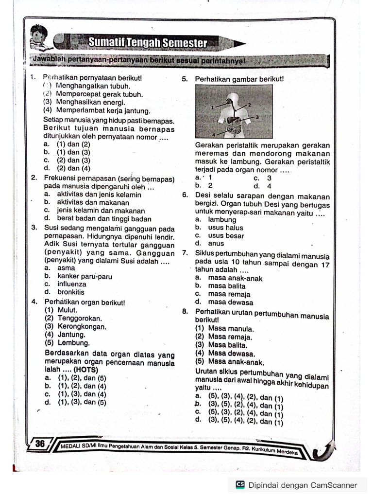 STS Ipas Kelas 5 | PDF