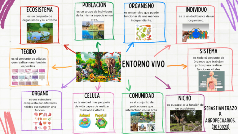 Mapa Mental Entorno Vivo | PDF