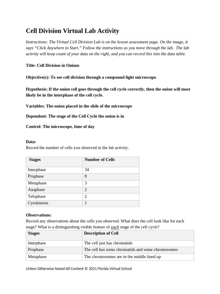 Onion Cell Division Virtual Lab Guide | PDF | Mitosis | Cell Cycle