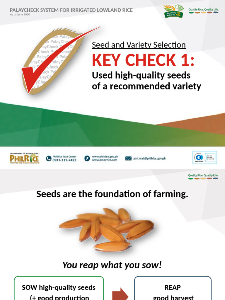Key Check 1 Seed and Variety Selection | PDF | Seed | Germination
