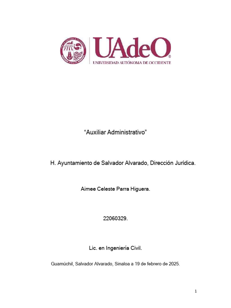 Servicio Social Aimee Celeste Parra Higuera 22060329 | PDF