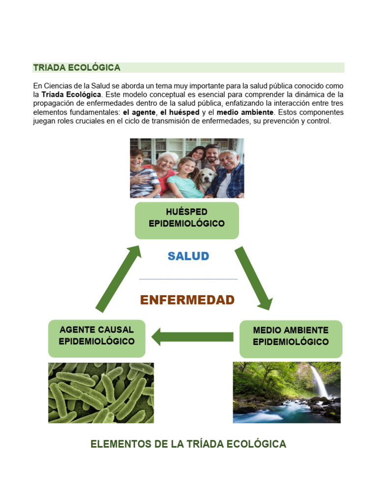 Triada Ecológica-Cadena Epidemiológica | PDF | Sistema inmune | Antígeno