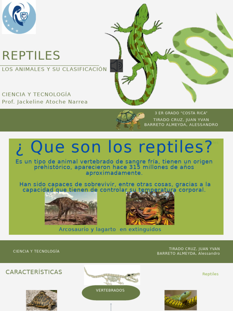 Reptiles | PDF | Reptil | Tortuga