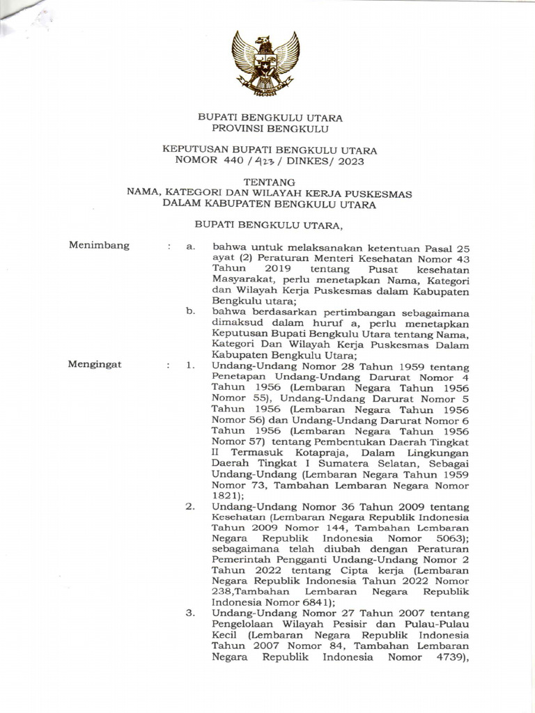 SK Kategori Puskesmas | PDF