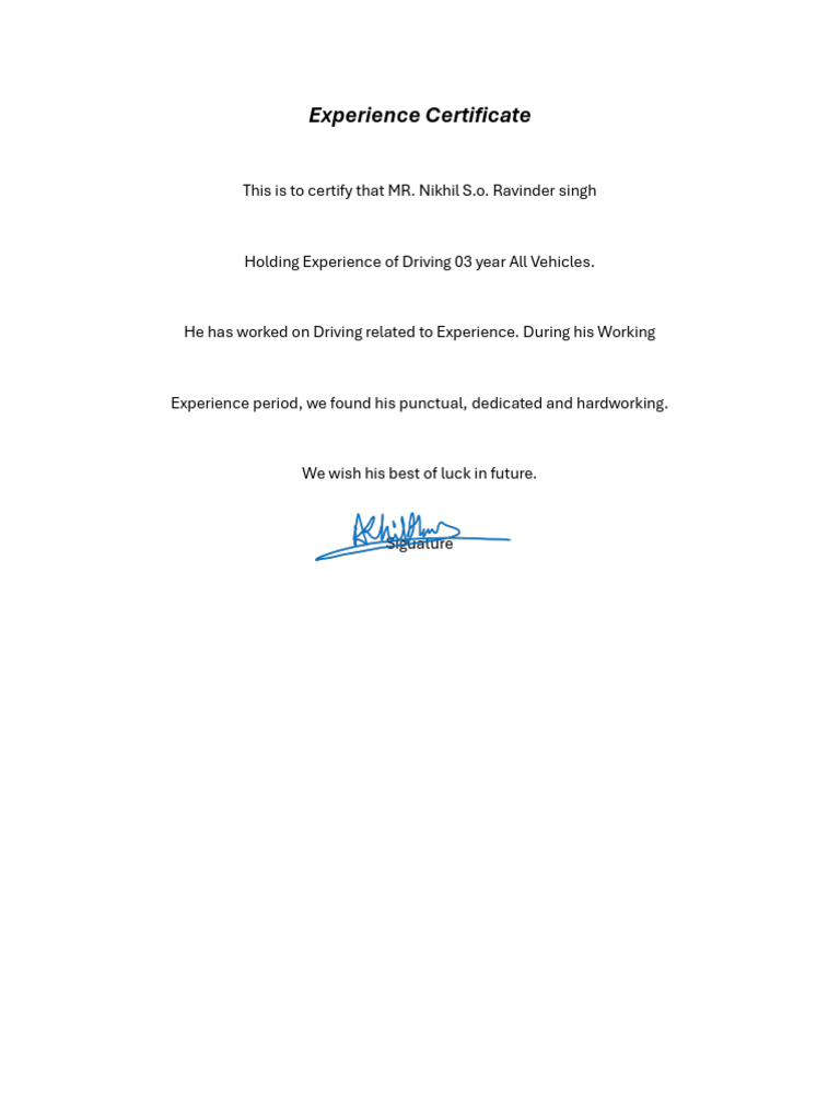 Experience Nikhil | PDF