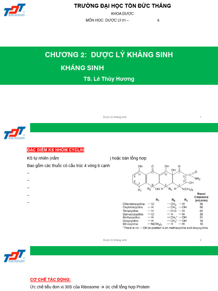 PD-01 - HK2 2024-2025 Kháng Sinh Nhóm Cyclin | PDF