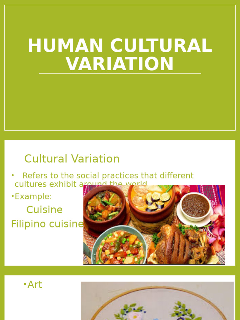 Understanding Cultural Variation and Change | PDF