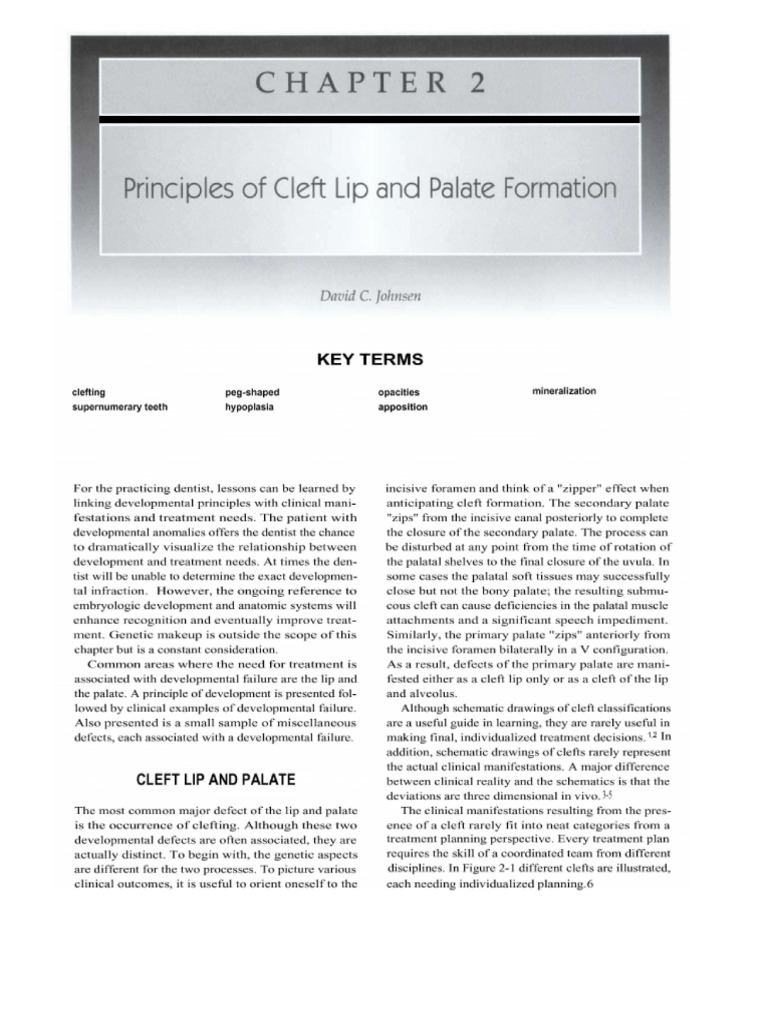 clefts | PDF