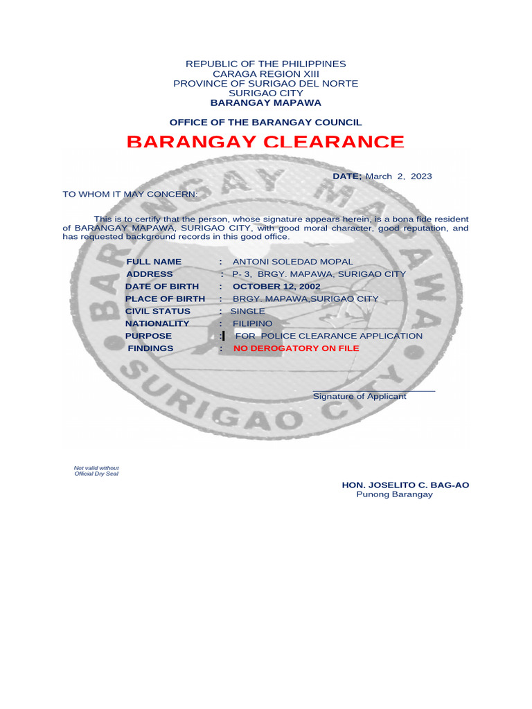 BRGY. CLEARANCE FOR SURNECO | PDF