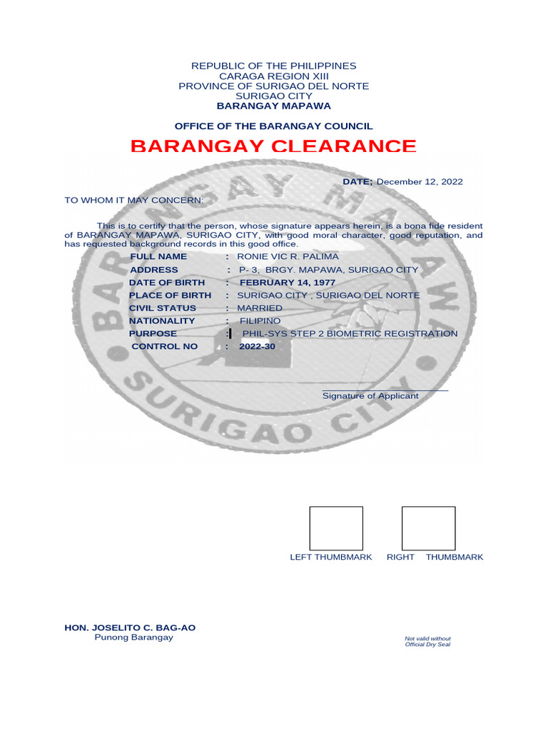 BRGY CLEARANCE FOR NATIONAL ID | PDF