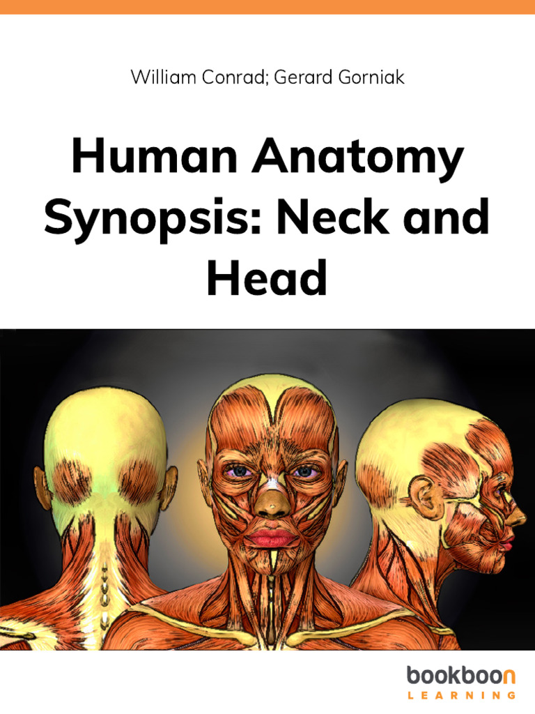 HUMAN ANATOMY SYNOPSIS - Neck and Head - Gerard Gorniak William Conrad ...