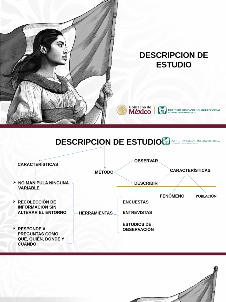 IMSS Presentacion 2024 2030 | PDF