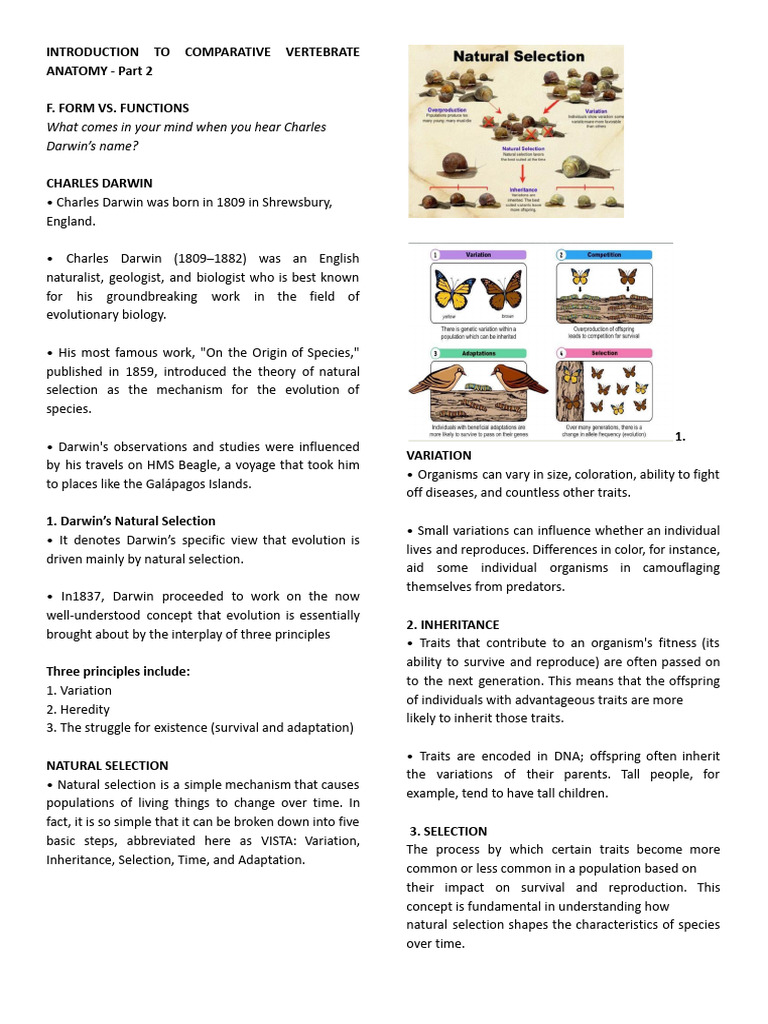 Comparative Vertebrate Anatomy Insights | PDF | Evolution | Natural ...