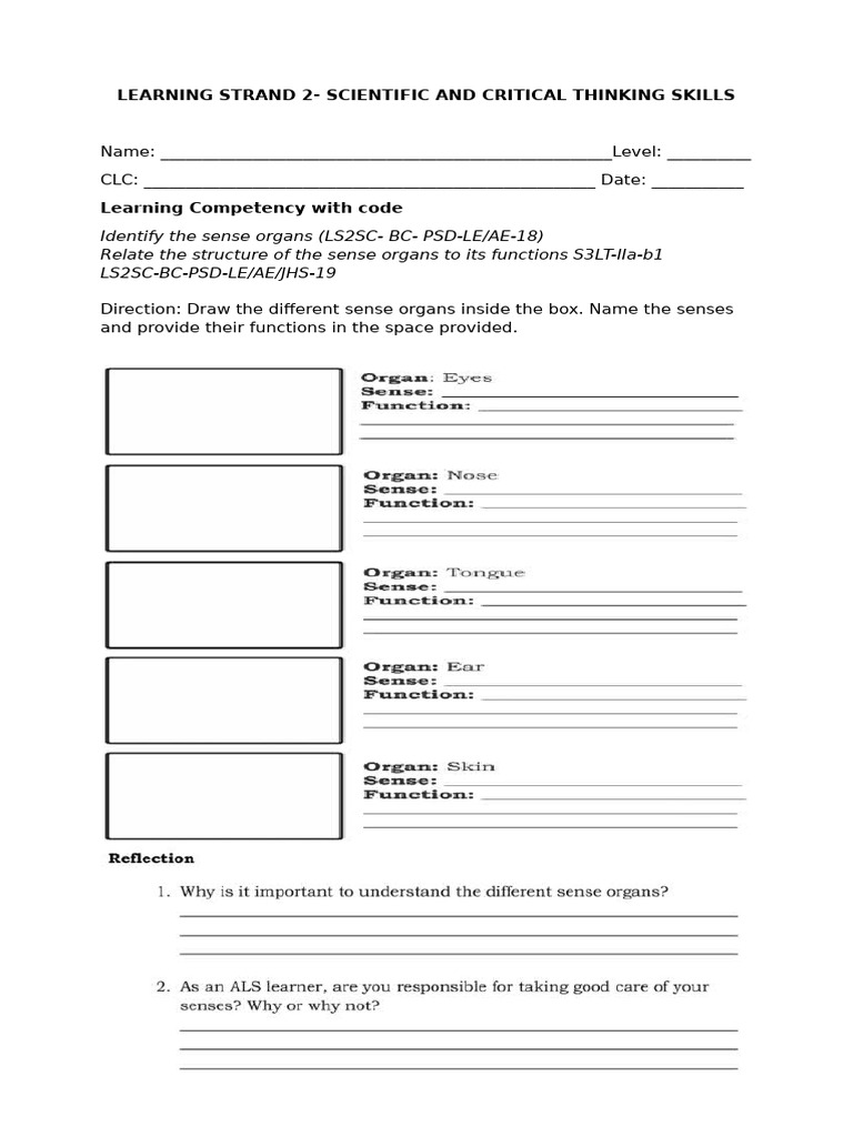 Learning Strand 2 - Sense Organs Elem | PDF | Cognition | Learning