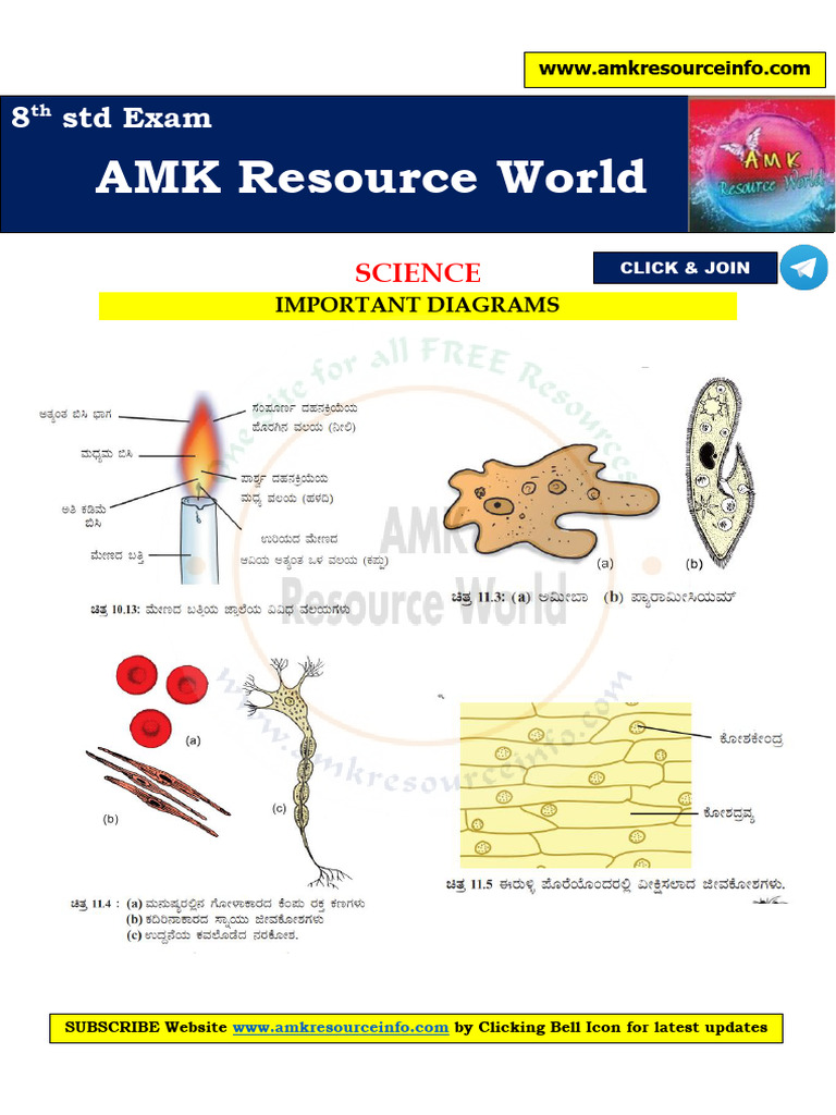 Science-Diagrams-1 | PDF