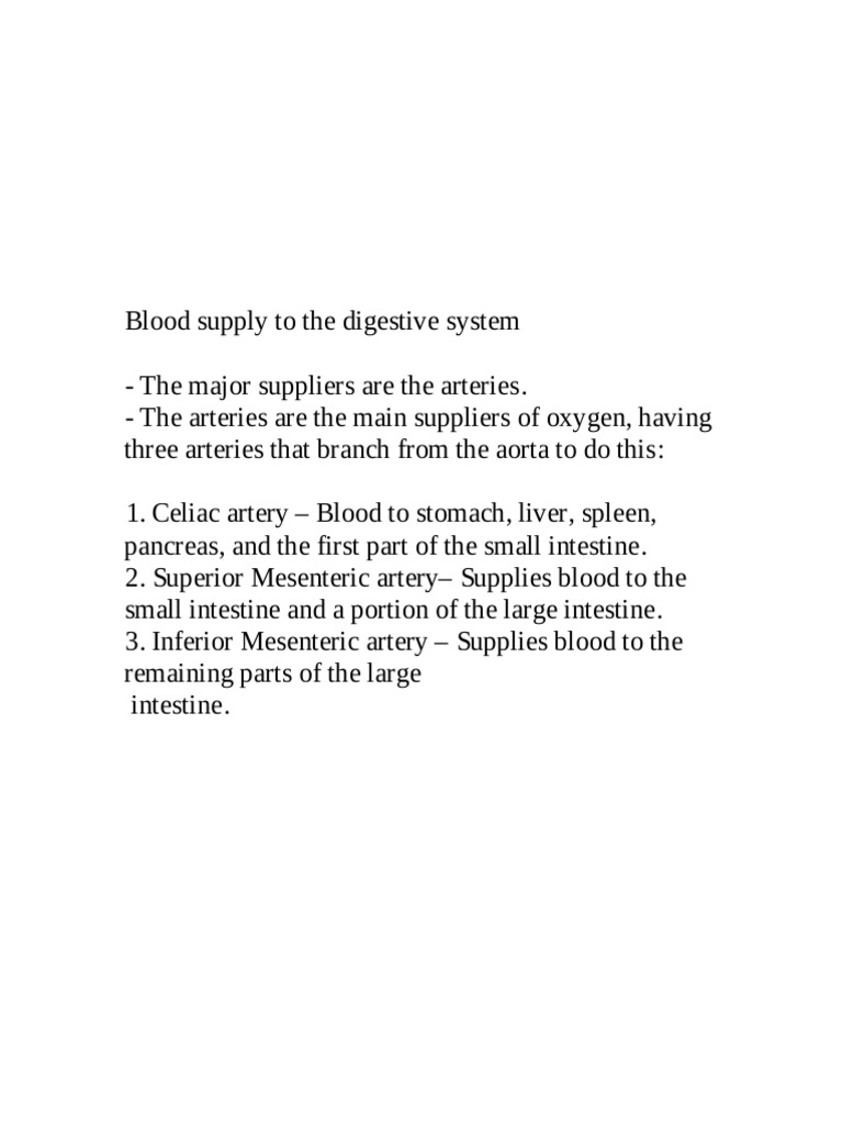 Blood Supply To The Digestive System | PDF | Vein | Circulatory System