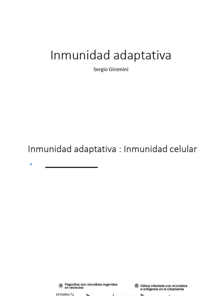 SERGIO GIROMINI - Inmunidad Adaptativa - Linfocitos T | PDF | Célula T citotóxica | Célula T