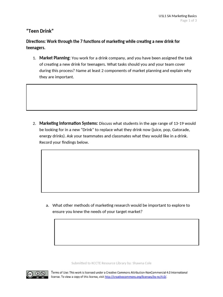 Teen Drink Marketing Project Guide | PDF | Marketing