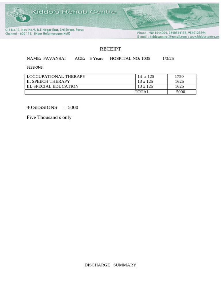 Autism Therapy Receipt and Summary | PDF